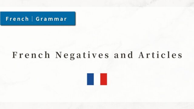 #60 French Negatives and Articles | Changes in Articles in Negative ...